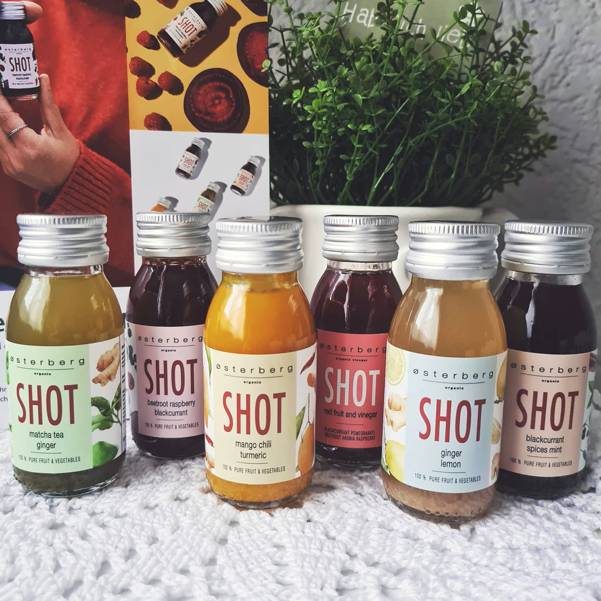 Østerberg Organic Shots - honeybunnynose